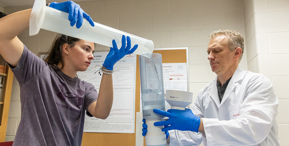 Biomedical Sciences Minor | Bridgewater College