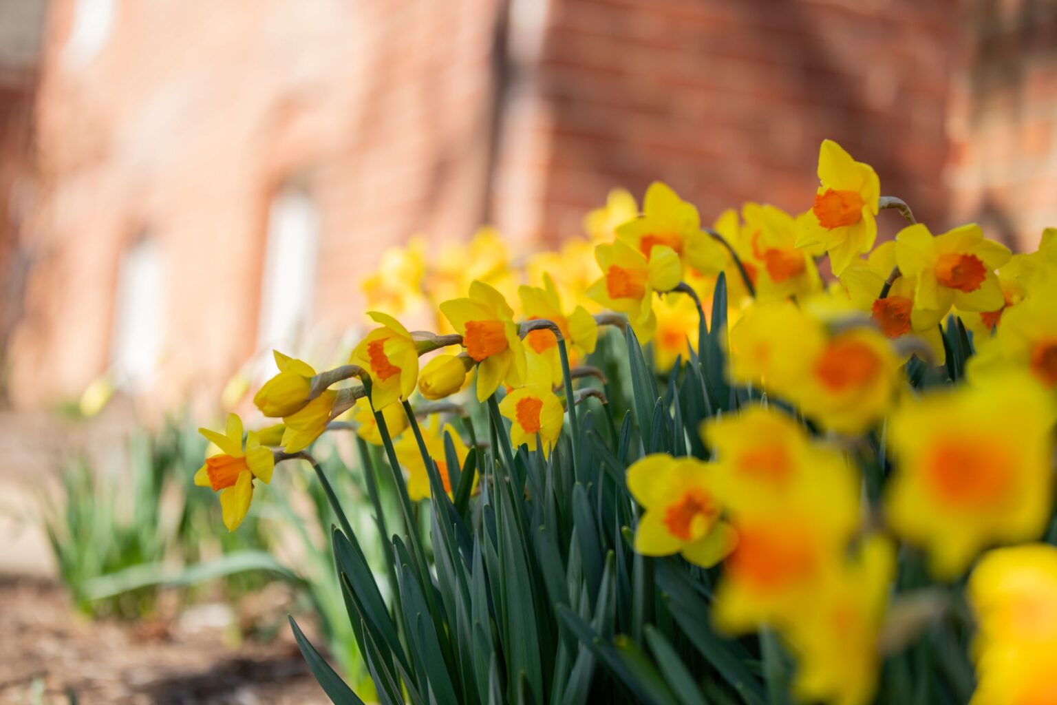 Spring Classes Begin | Bridgewater College